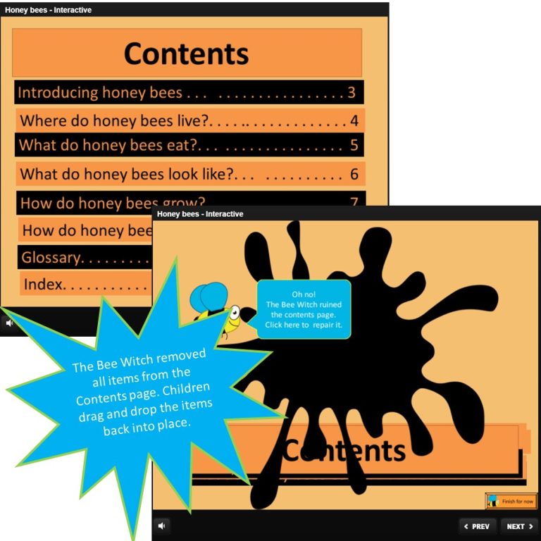 Honey bees – Interactive – readilearn