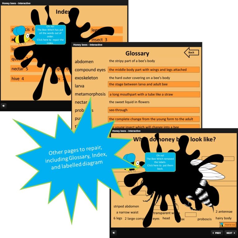 Honey bees – Interactive – readilearn