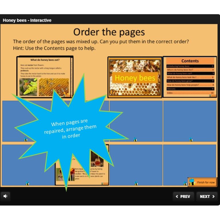 Honey bees – Interactive – readilearn