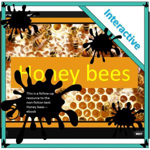 Honey bees – Interactive – readilearn