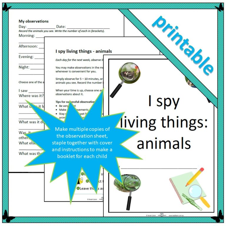 I spy living things – animals – readilearn
