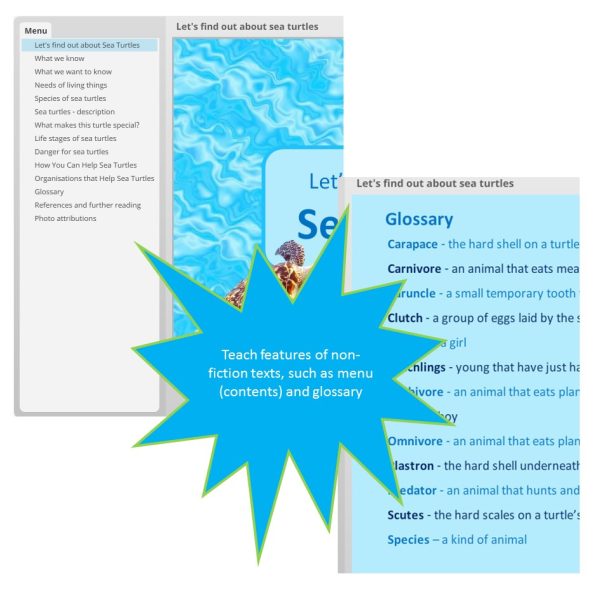 Let’s find out about sea turtles – readilearn