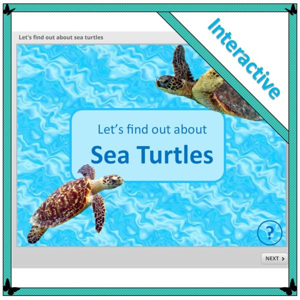 Let’s find out about sea turtles – readilearn