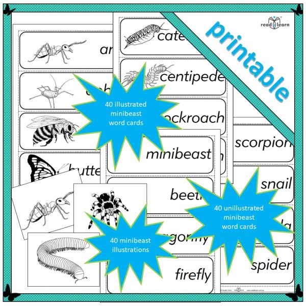 Minibeast Word Cards – readilearn