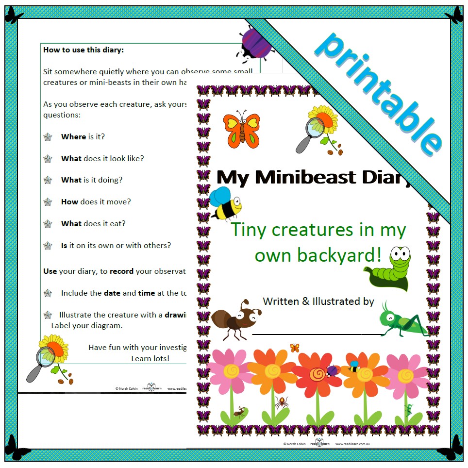 My minibeast diary – readilearn
