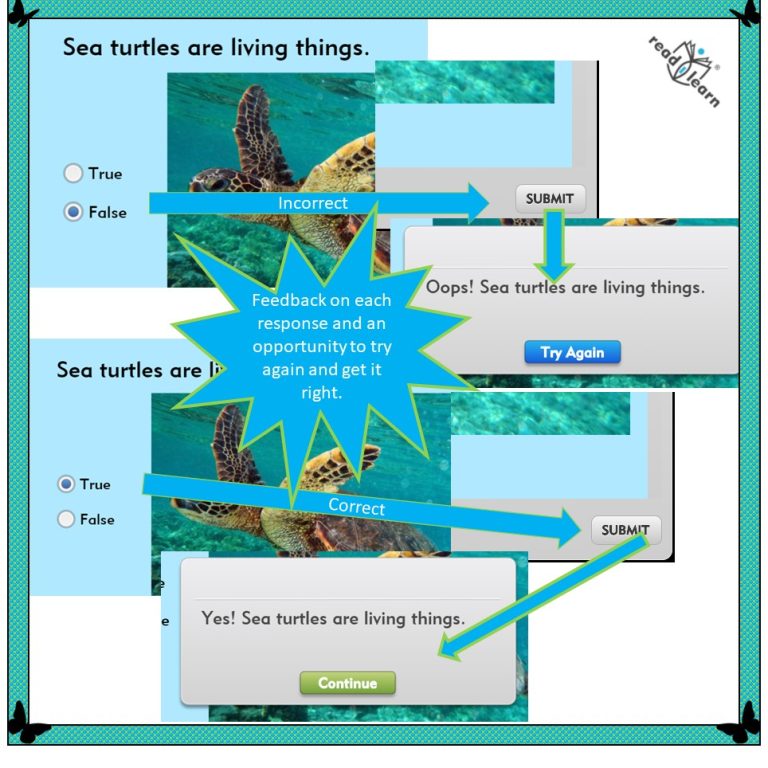 What do you know about Sea Turtles? A quiz – readilearn