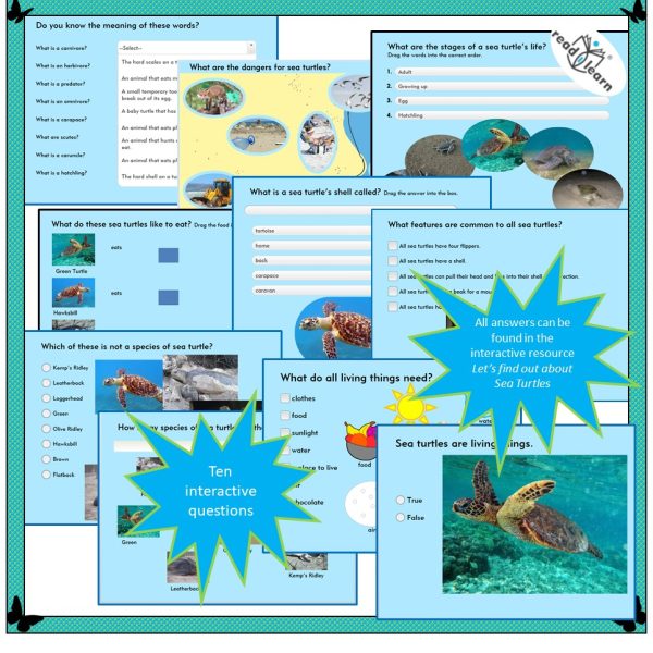 What do you know about Sea Turtles? A quiz – readilearn