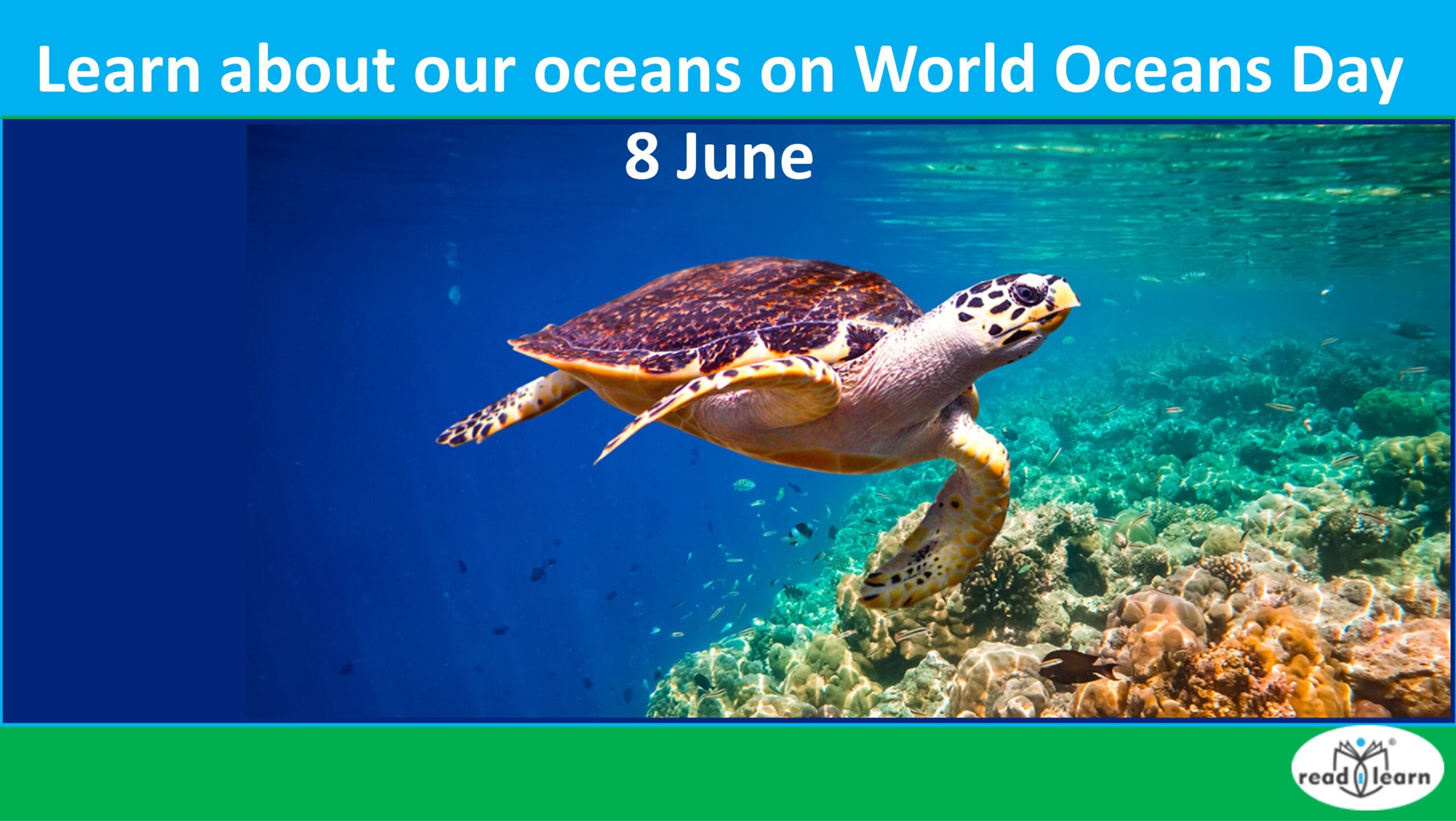 Learn about our oceans on World Oceans Day 8 June – readilearn