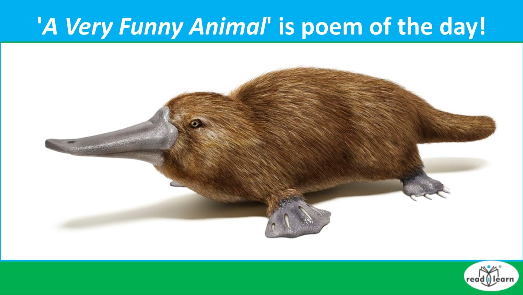 My poem ‘A Very Funny Animal’ is poem of the day! – readilearn